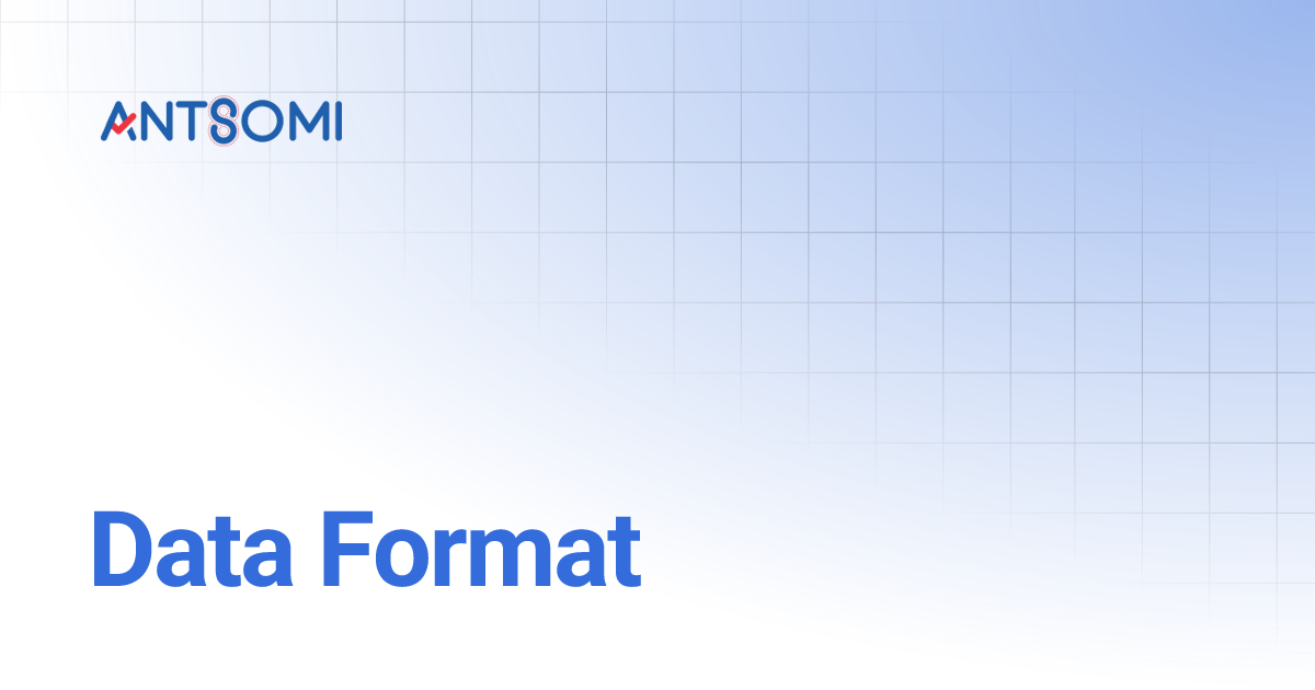 Data Format | Antsomi
